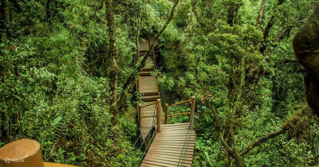 Tempat menarik di Cameron Highland, ini 11 tempat wajib pergi!