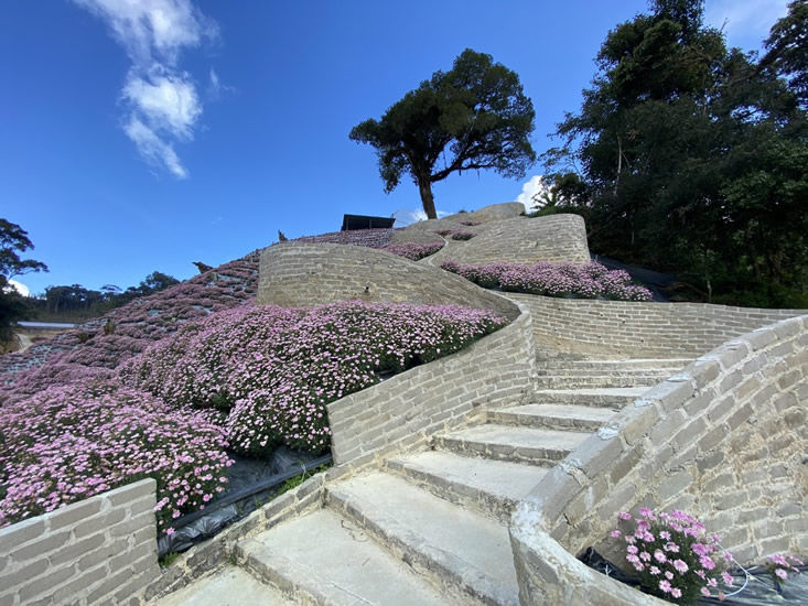 Tempat menarik di Cameron Highland, ini 11 tempat wajib pergi!