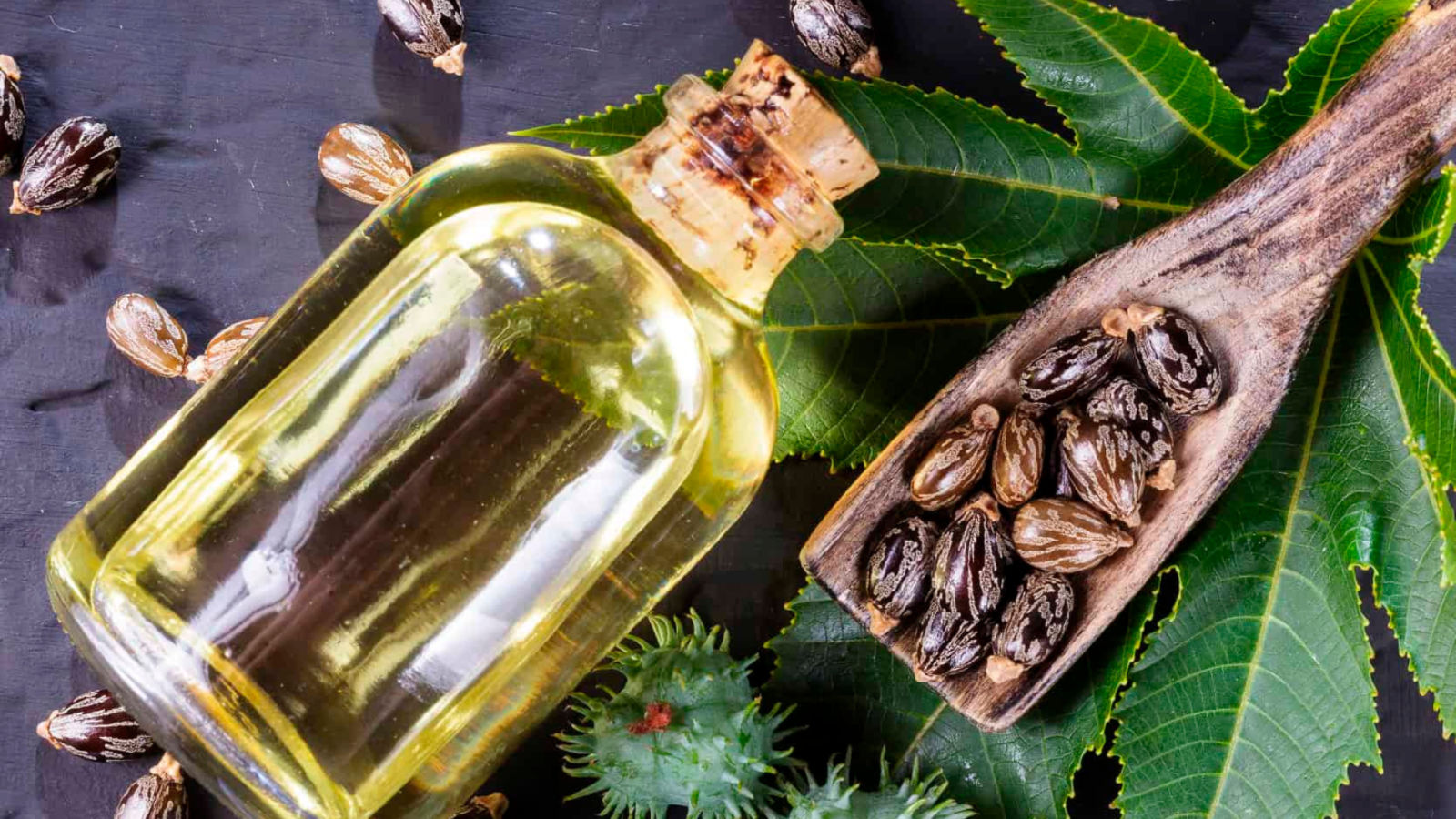 Perapi rambut terbaik adalah minyak kastor, boleh buat rambut lebat!