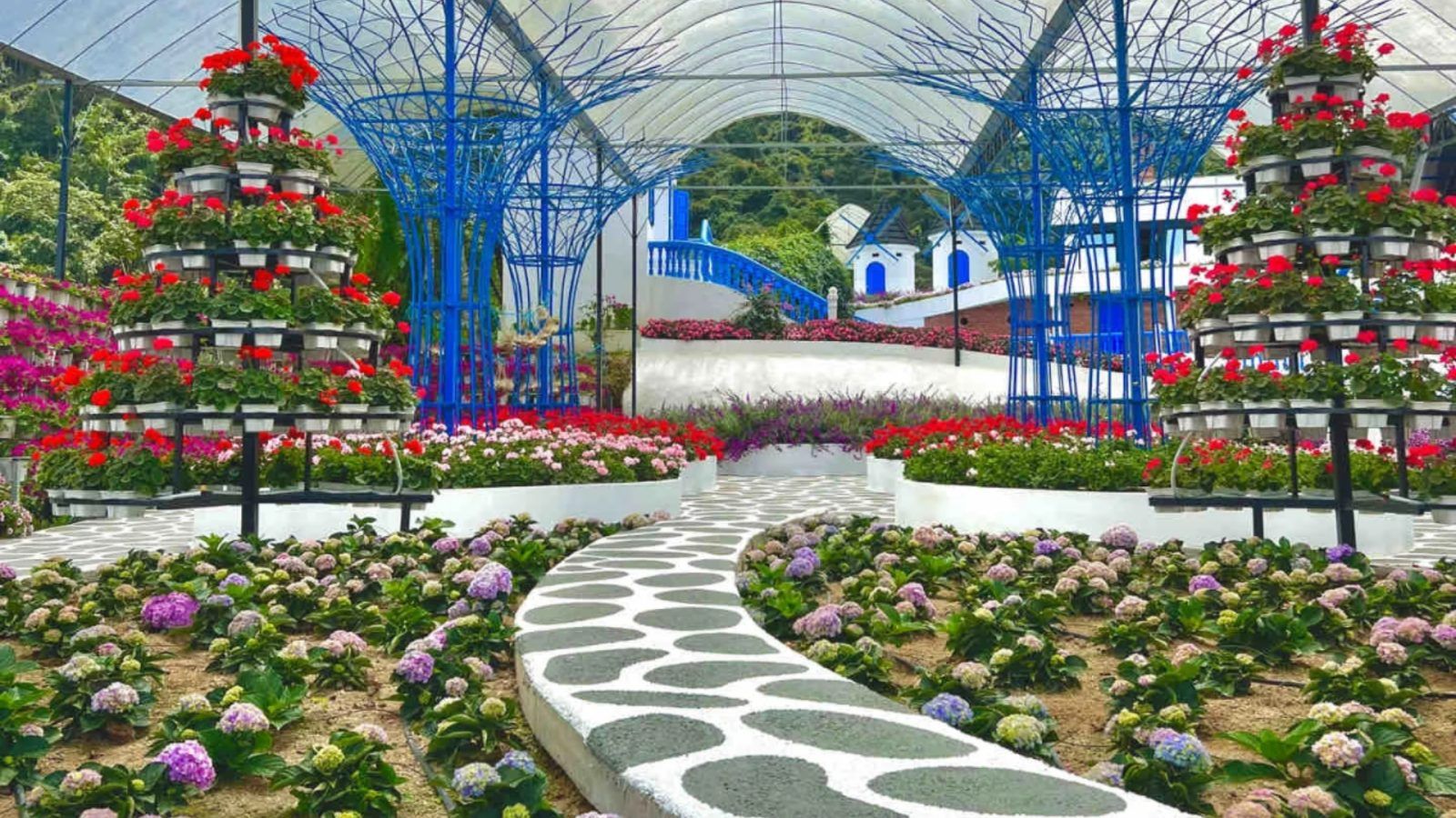 Tempat Menarik di Cameron Highlands, Cameron Santorini Kini Dibuka