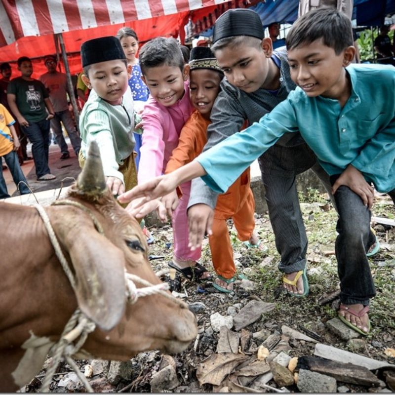 Hari Raya Korban: 7 tempat untuk tunaikan ibadah korban di luar negara