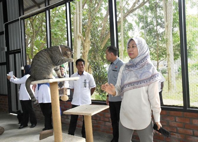 Taman kucing menarik di Selangor untuk dilawati bersama Si Comel anda!