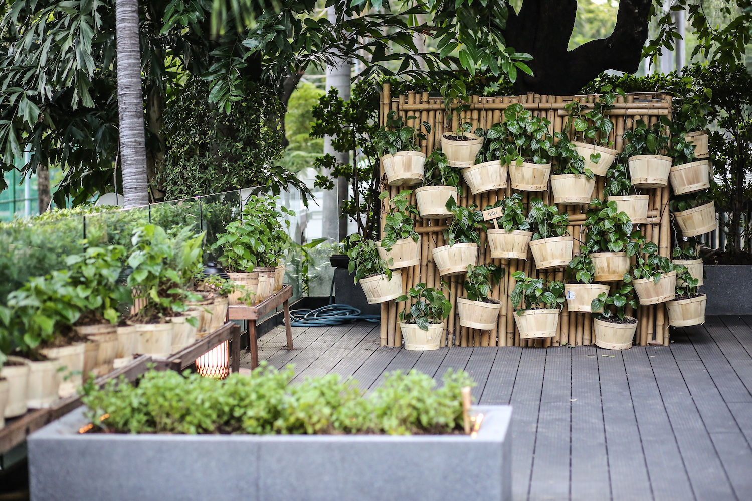 Review: The sustainability-led Bangkok Marriott Marquis Queen's Park