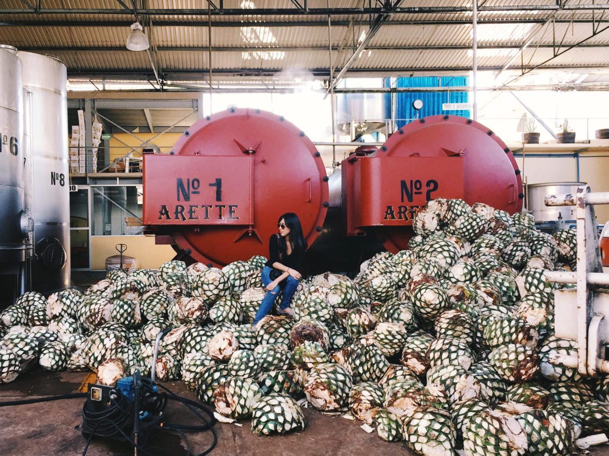 27 Questions: Victoria Chow, founder of The Woods