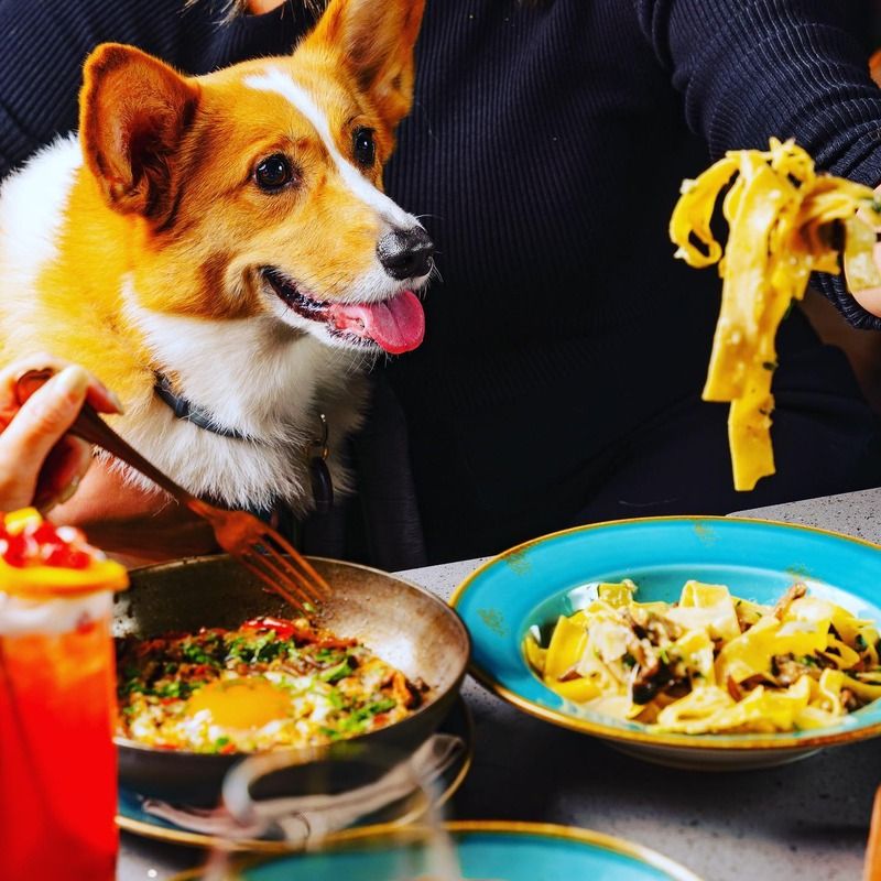 All about the best restaurants in Hong Kong, dining & new dishes | LSA HK