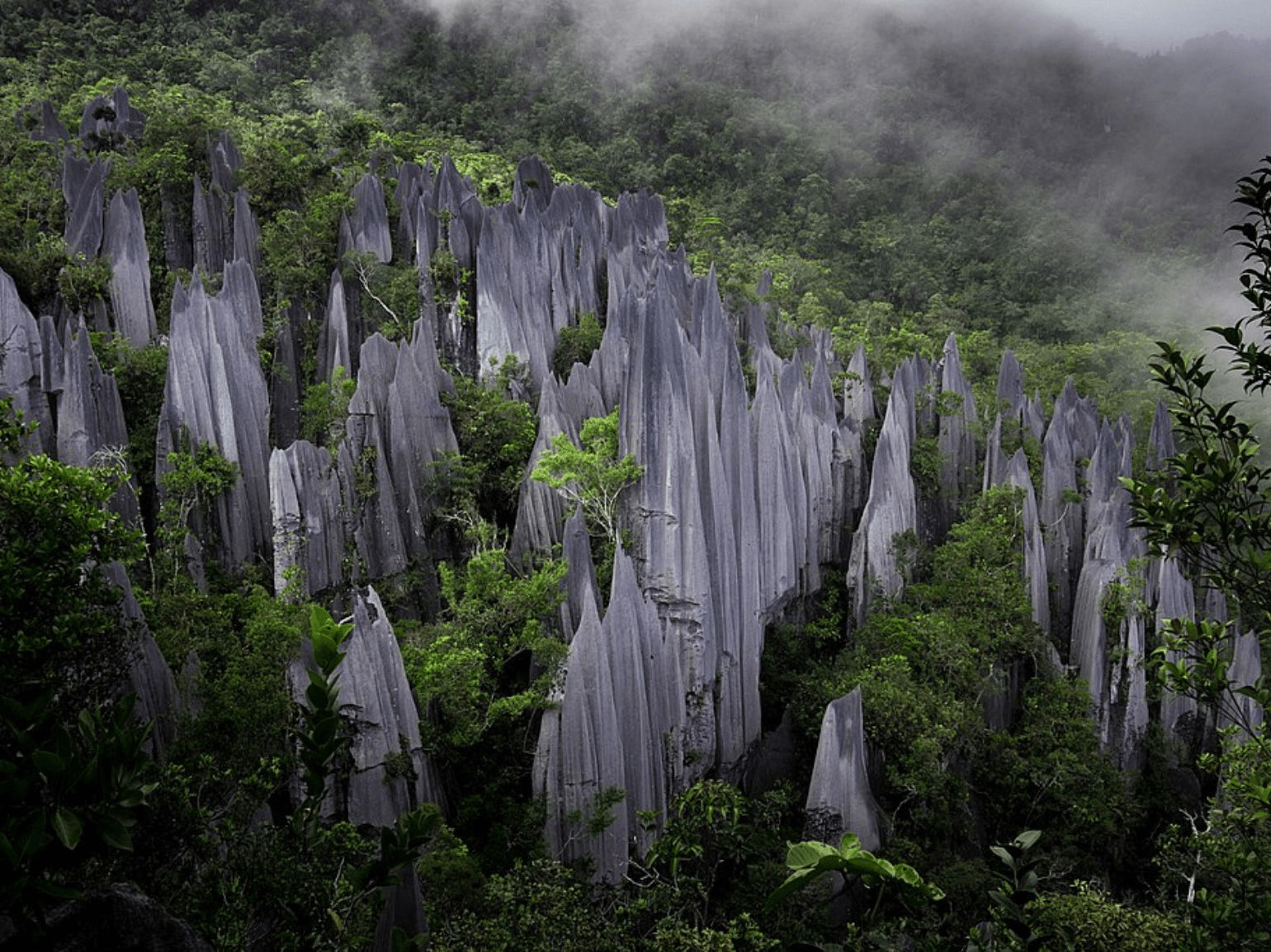 10 ecotourism destinations that should be on your bucket list