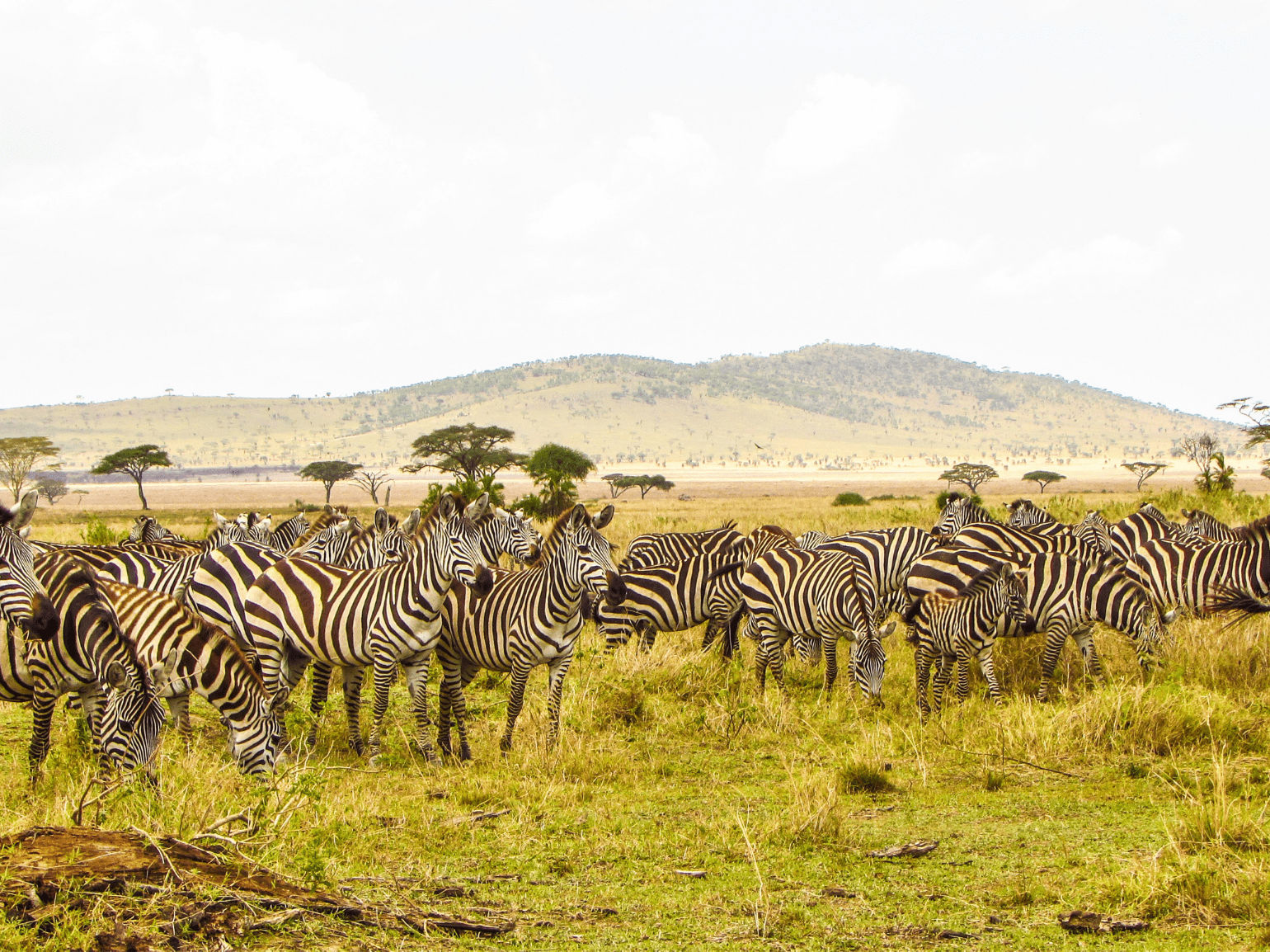 10 ecotourism destinations that should be on your bucket list