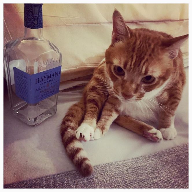 27 Questions: Ying Kwok, curator and founder of Art Appraisal Club