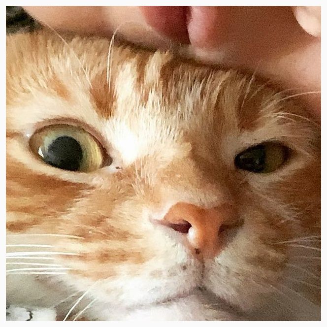 27 Questions: Ying Kwok, curator and founder of Art Appraisal Club