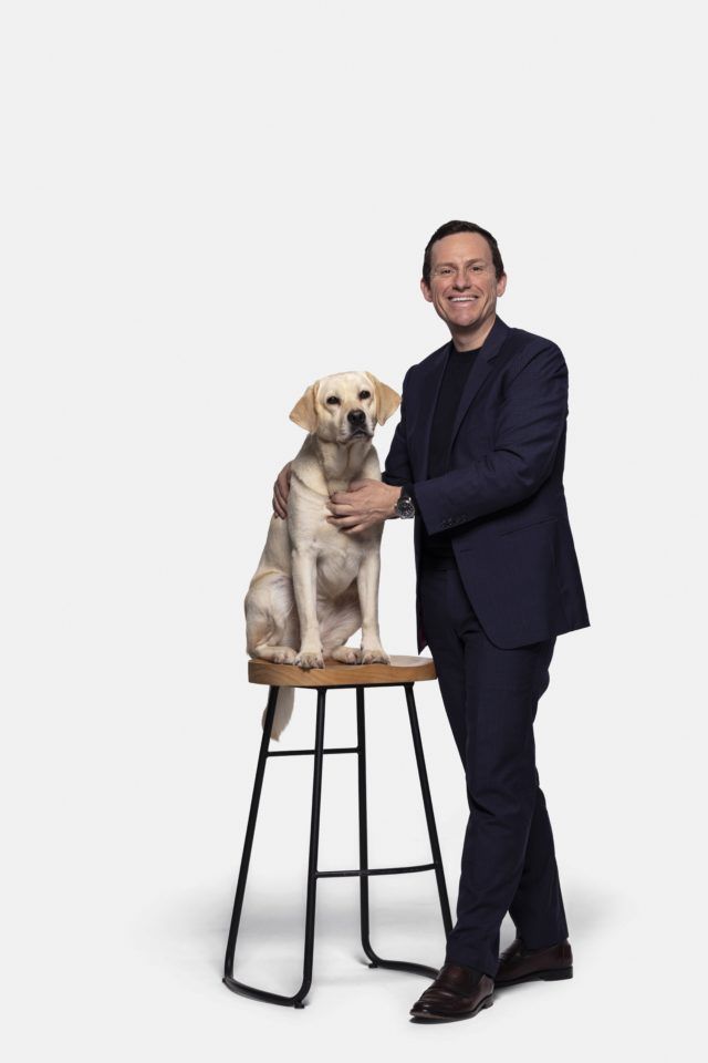 Everything you need to know about CBD for pets, according to ...