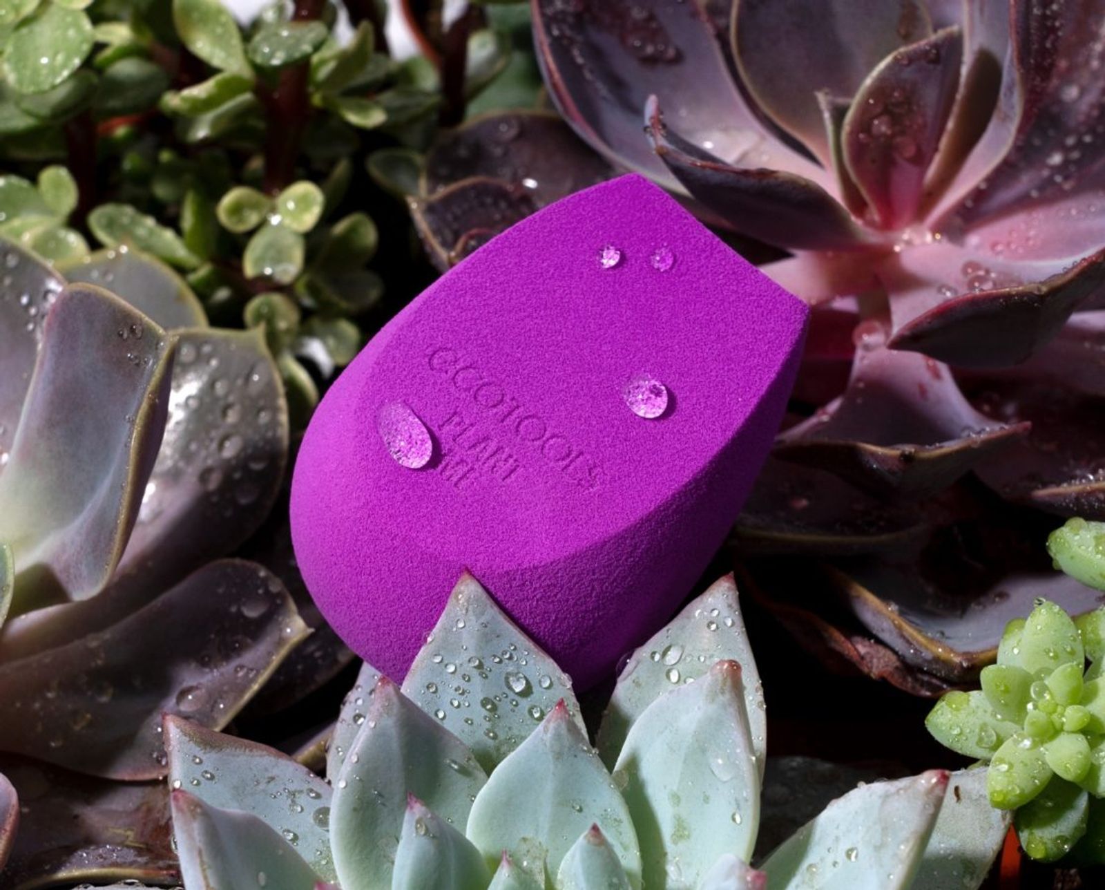 The industry's first vegan, biodegradable beauty blender is here