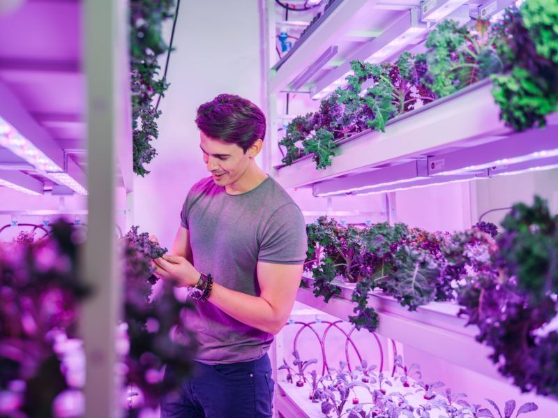 27 Questions: Benjamin Swan, co-founder and CEO of Sustenir Agriculture