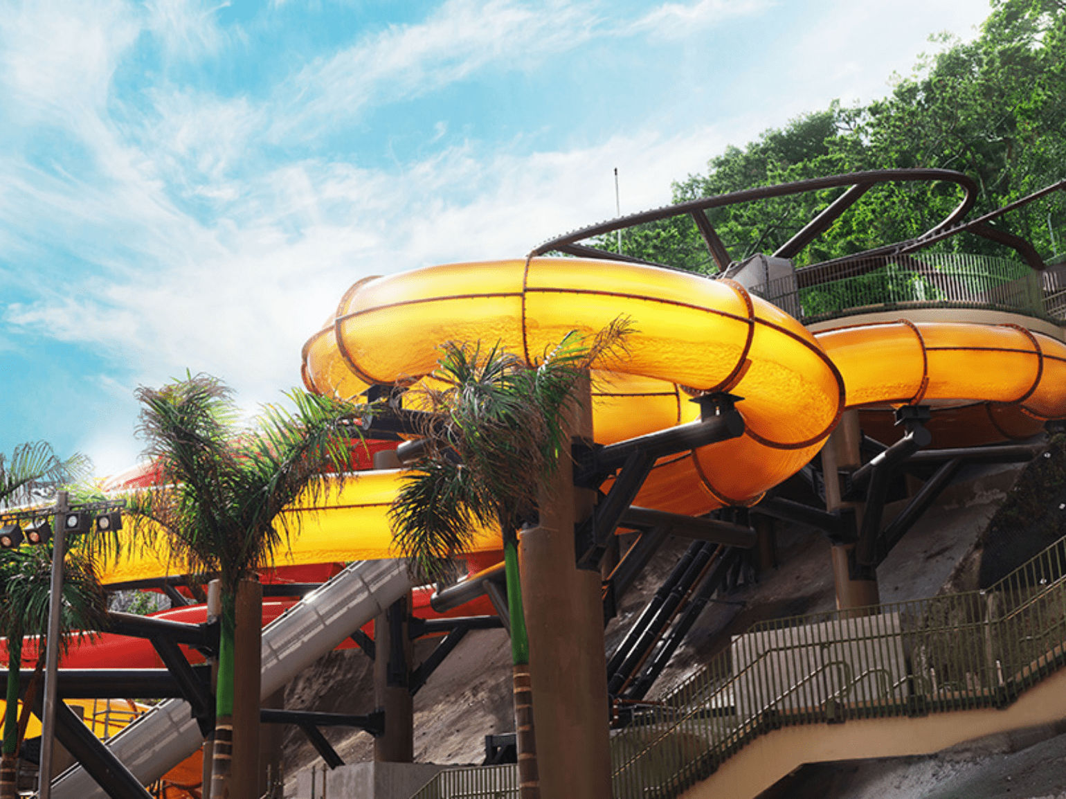 Water World Ocean Park: Everything you need to know