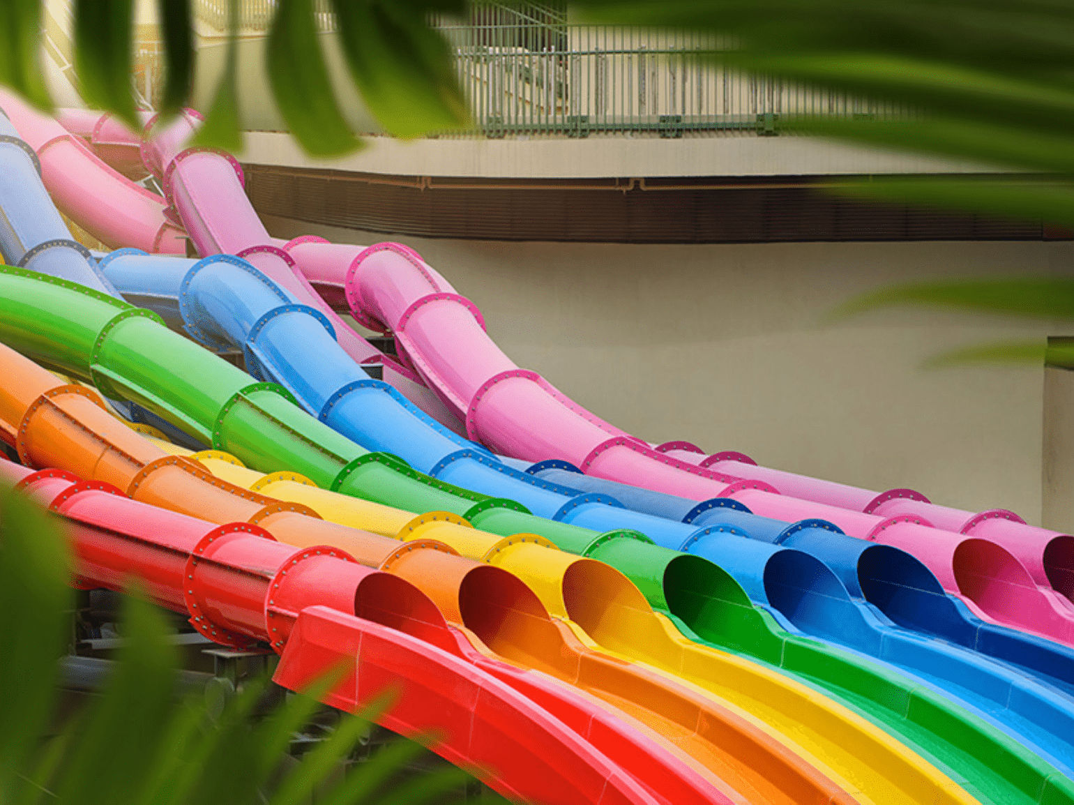 Water World Ocean Park: Everything you need to know