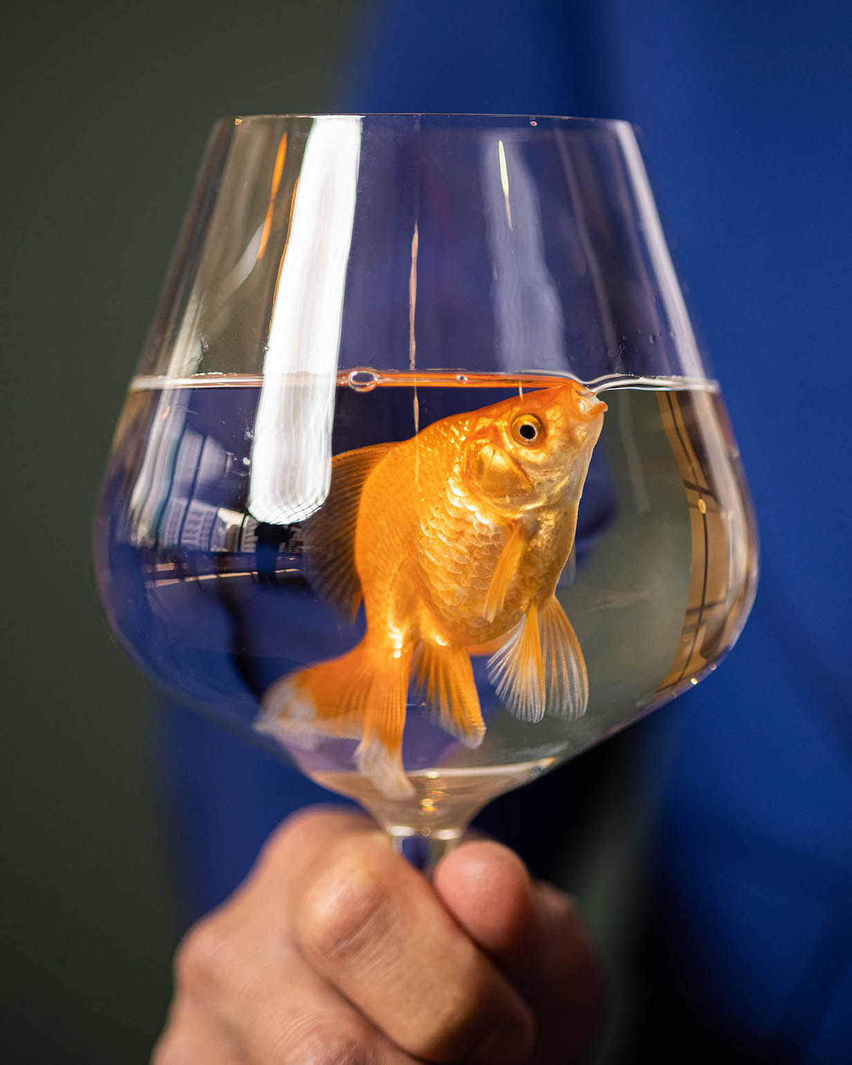 27 Questions: Simon Tam, Founder & Auctioneer at Aeos Auctions