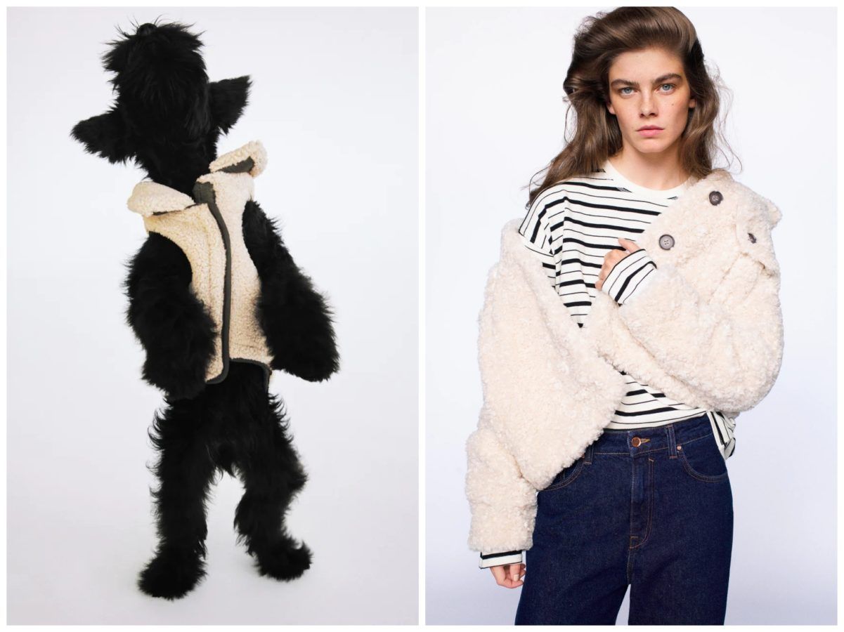 Our favourites from the new Zara Pet Collection | Lifestyle Asia Hong Kong
