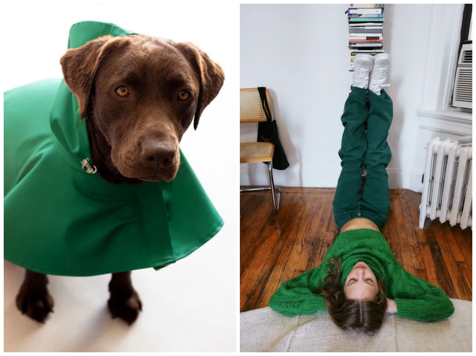 Our favourites from the new Zara Pet Collection | Lifestyle Asia Hong Kong