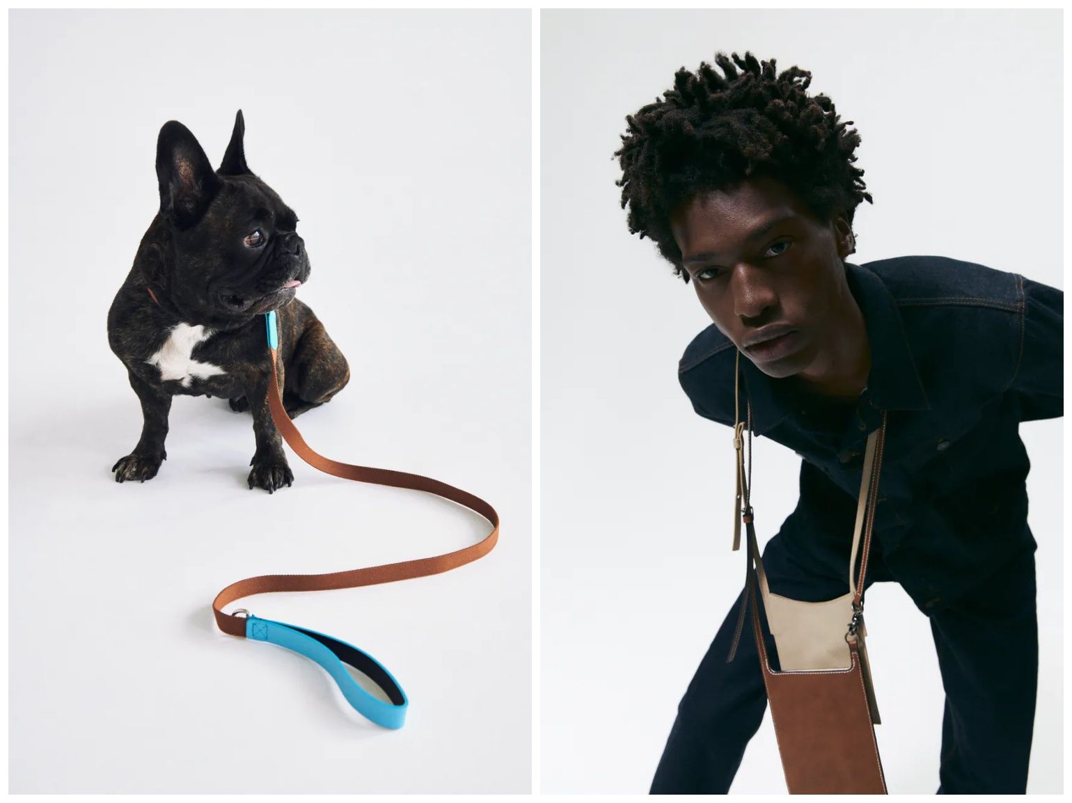 Our favourites from the new Zara Pet Collection | Lifestyle Asia Hong Kong