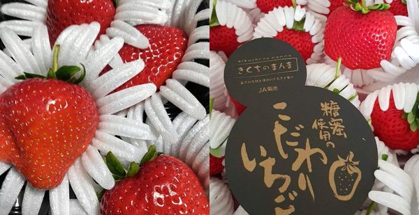 The sweetest, juiciest Japanese strawberries will cost you HK$900
