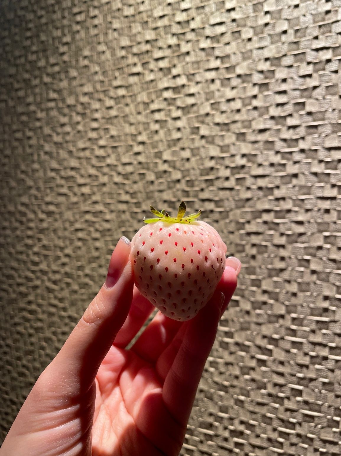 Best Bites: 3 dishes we loved this week, from Clarence and more