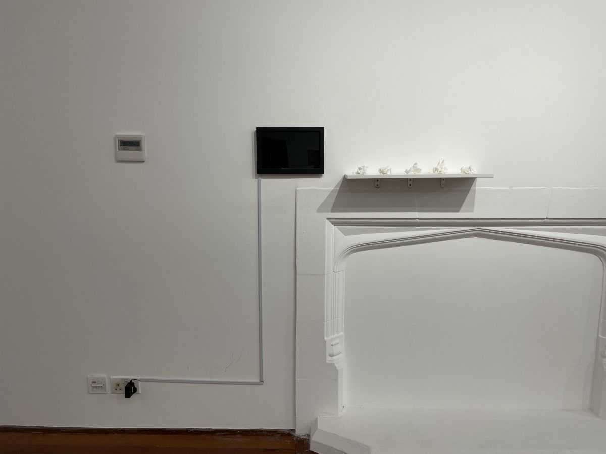 Hong Kong artist Amber Ng to debut next installation at Affordable Art Fair