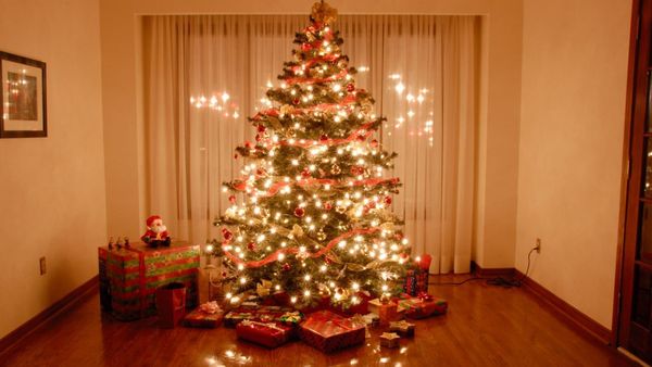 Christmas tree in Hong Kong: Where to buy one?