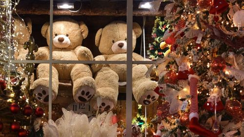 Christmas tree in Hong Kong: Where to buy one?