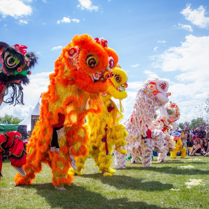 Chinese New Year In Hong Kong Best Events And Displays Chinese New Year In Hong Kong Best Events And Displays