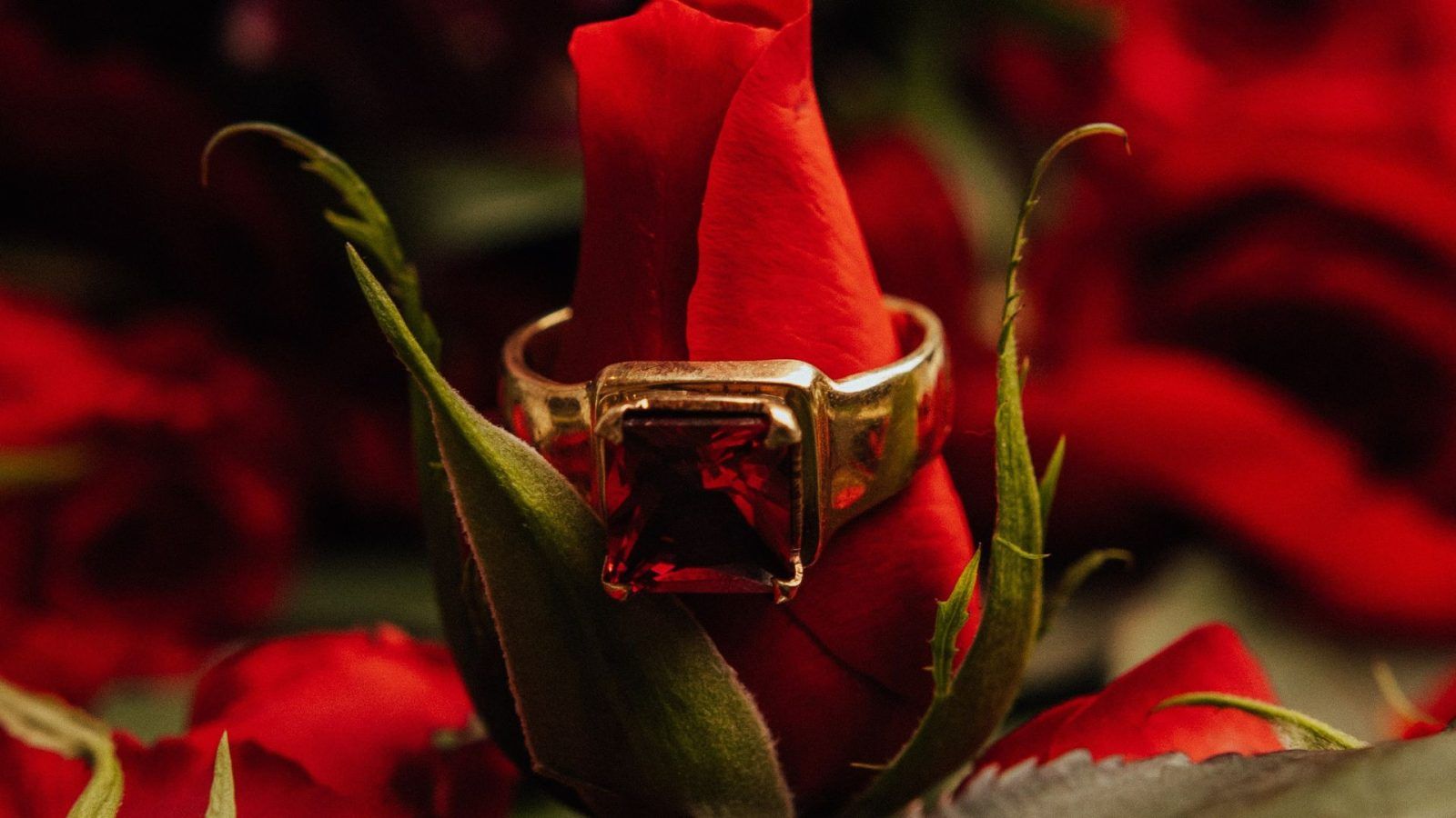 Find your Chinese Zodiac spirit animals and lucky stones