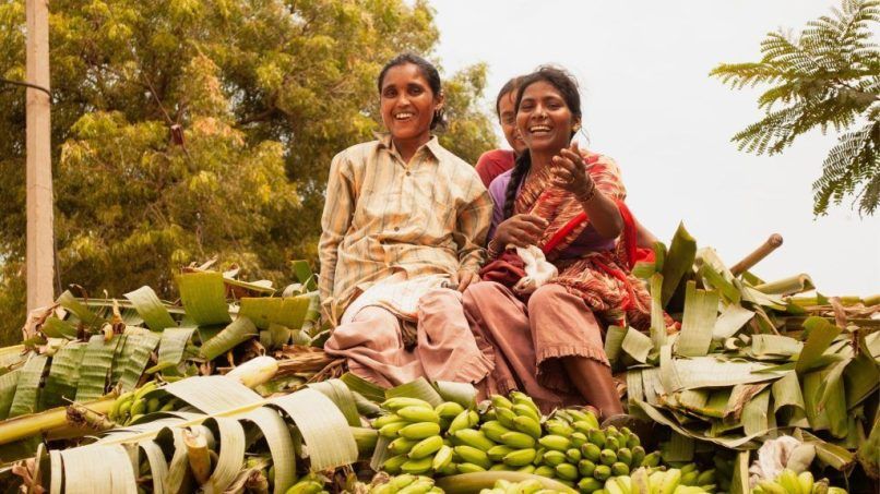 Health benefits of bananas, nutritional value, healthy recipes, and ...