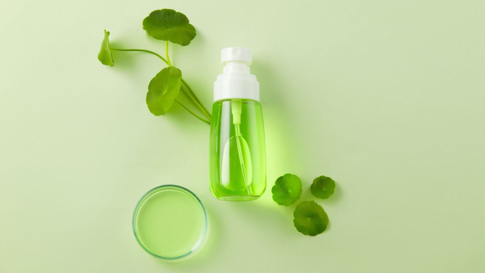 Gotu Kola for skin: What is it, benefits, and more