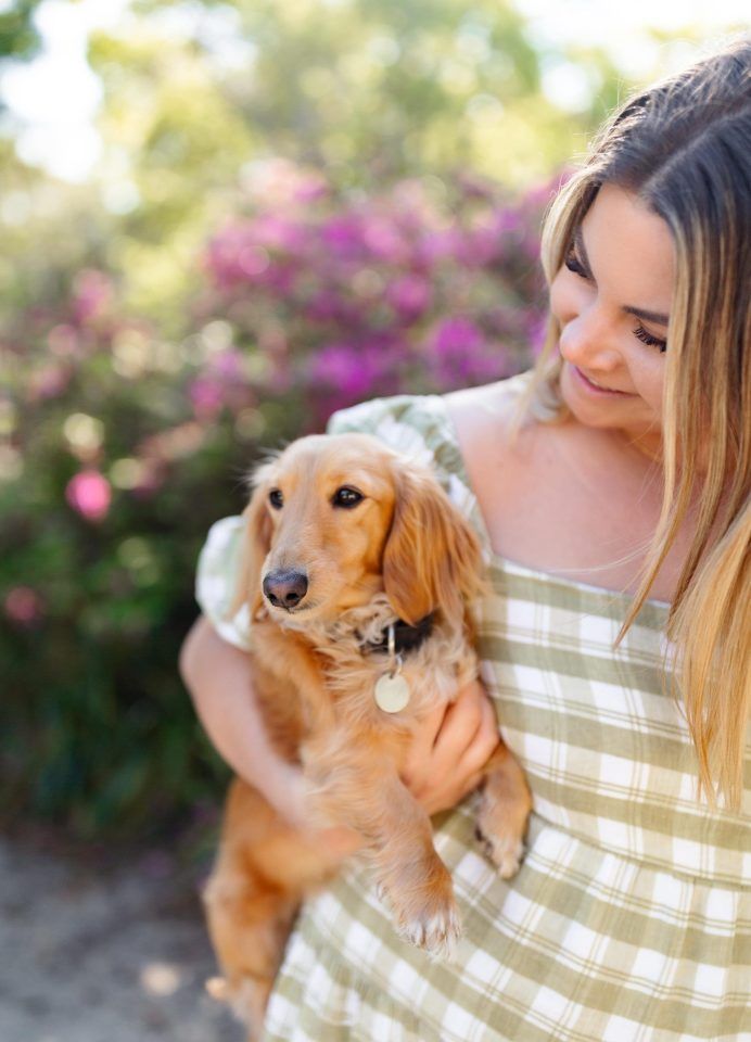 Meet Fifi, the dog that flew business class and went viral