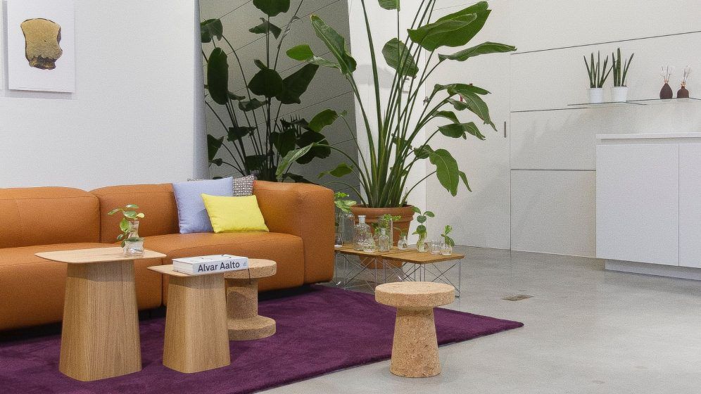These Feng Shui colours will help in attracting wealth and abundance