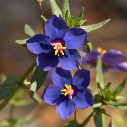 Know everything about your lucky colour based on numerology