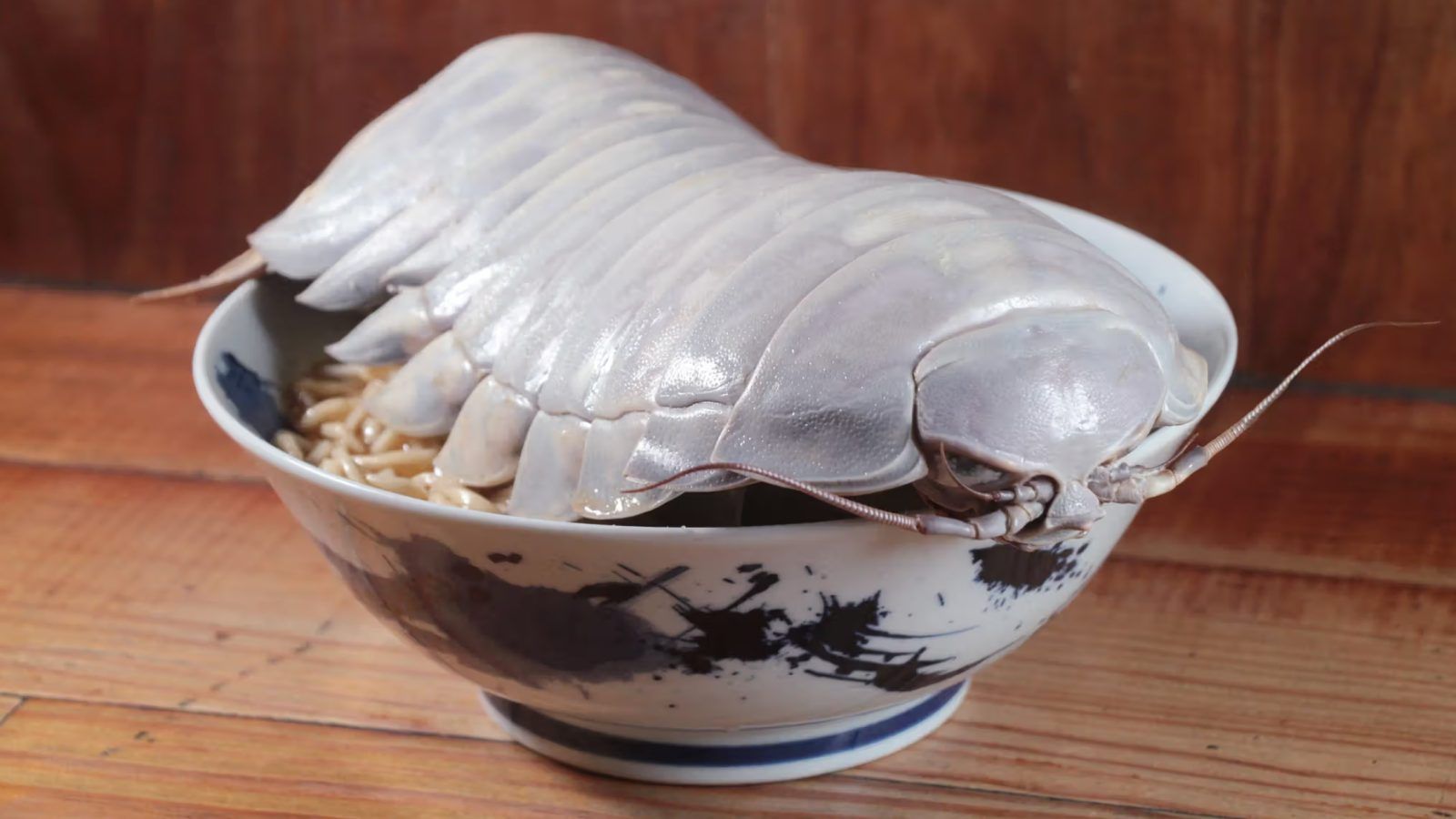 Taiwan Giant Isopod Ramen Raises Eyebrows