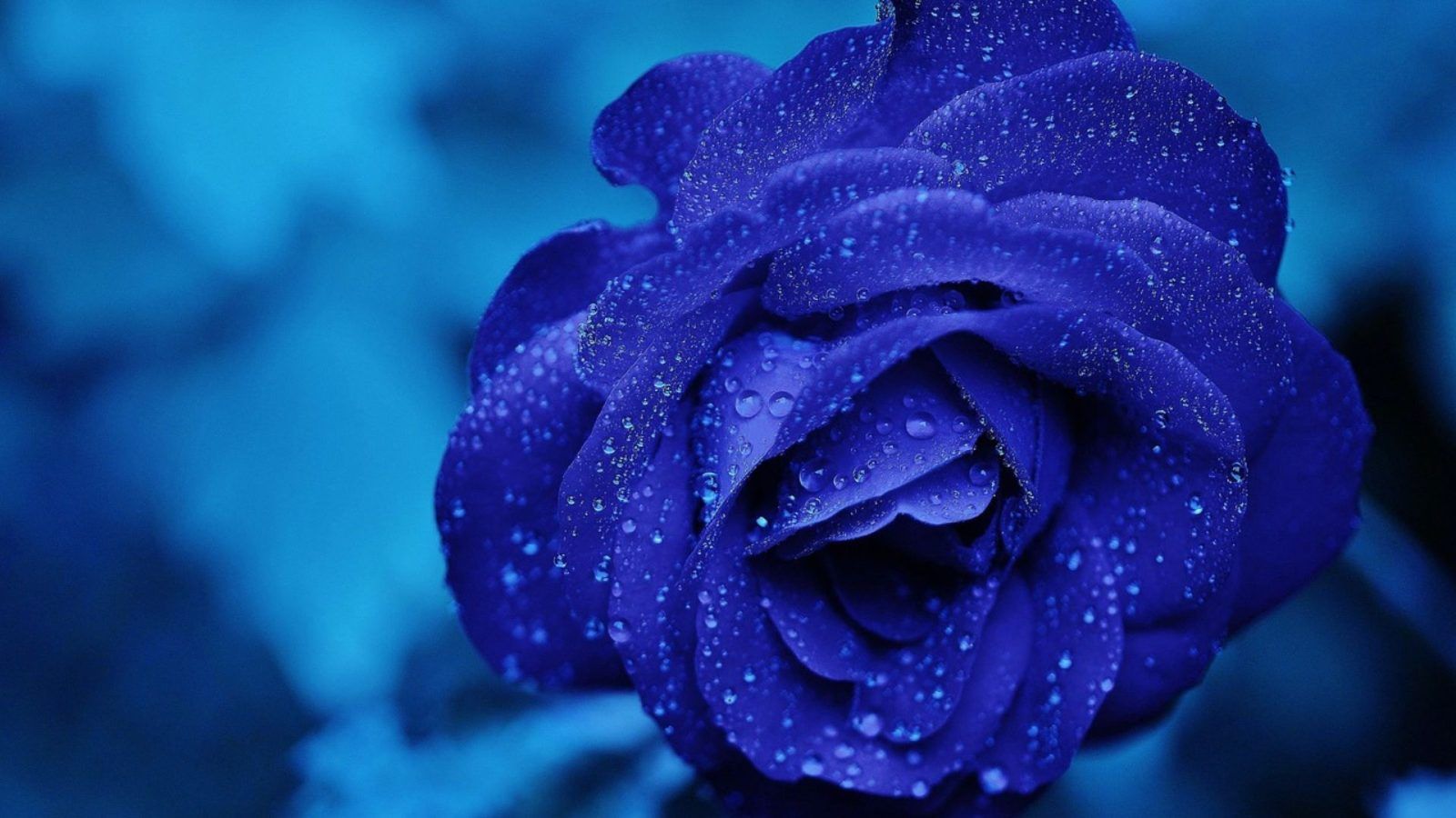 Be watchful of these unlucky colours for Chinese zodiac signs