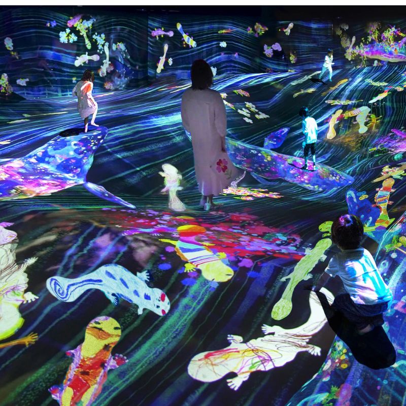 Japan’s famous teamLab attraction is coming to Hong Kong this July