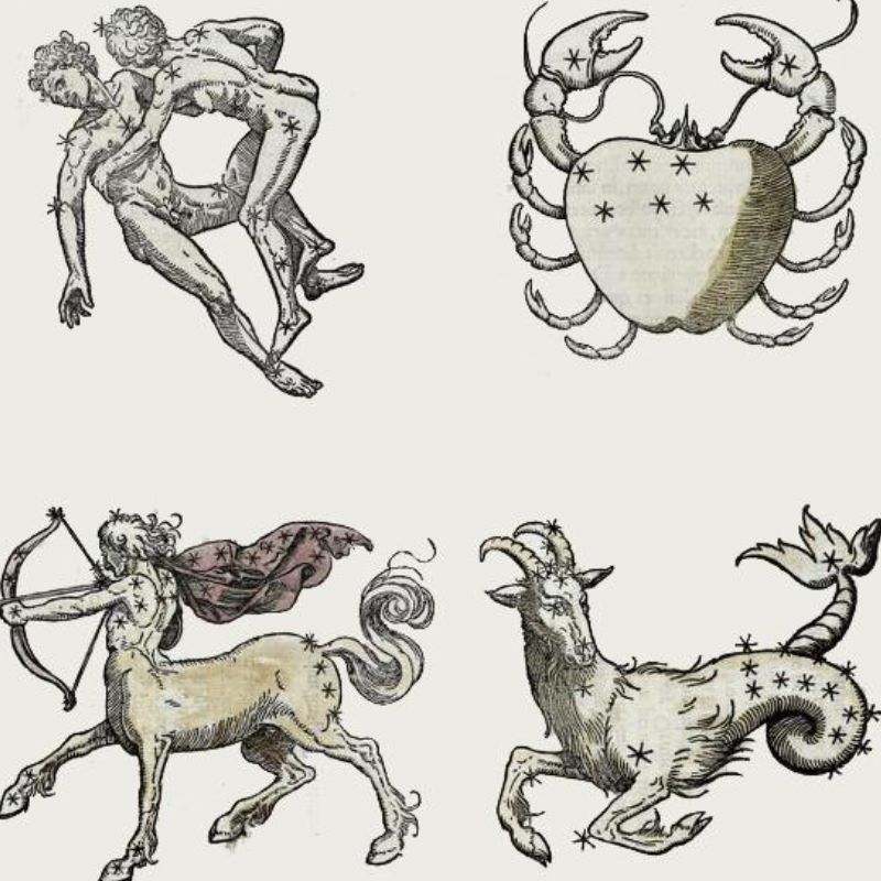 All about zodiac fixed signs: Taurus, Leo, Scorpio and Aquarius
