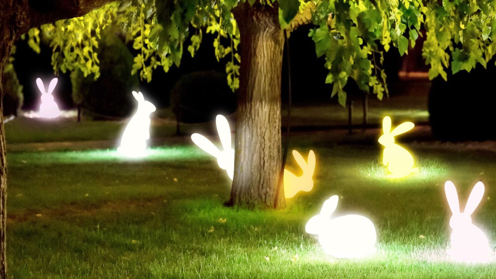 The best Mid-Autumn Festival lantern displays in Hong Kong