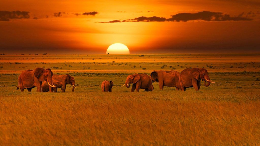 Sunset Images: 19 stunning spots around the world