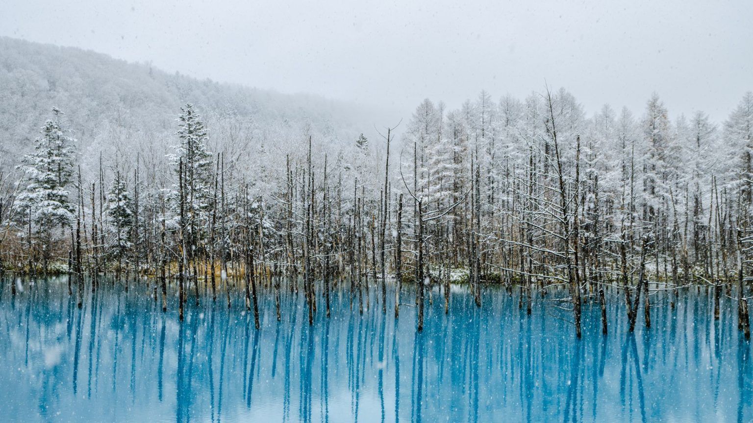 Winter In Japan: Destinations, Experiences And Things To Do Guide 2023