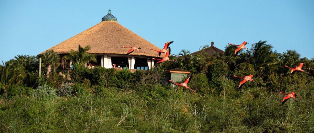 You Can Book Now Rooms on Richard Branson's Necker Island