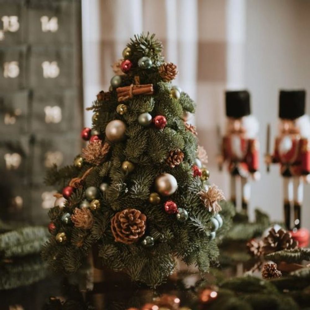 Ultimate guide to buying the best Christmas tree in Hong Kong in 2024