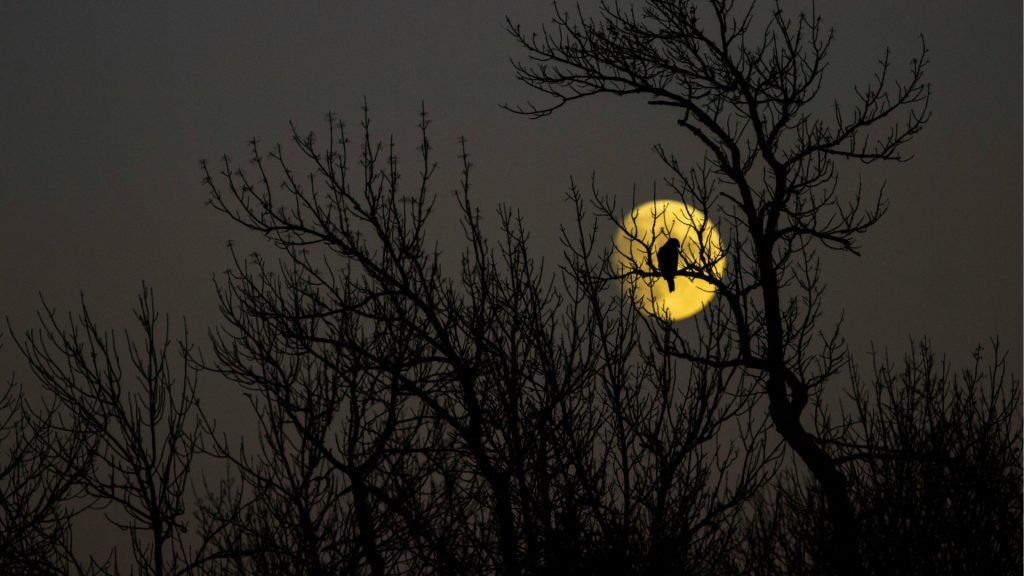 All the 12 full moon names for 2024 and what they mean