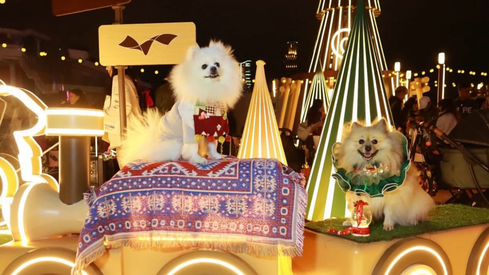 Bring your furry friends to Seaside Pet Chill Christmas Carnival this Xmas