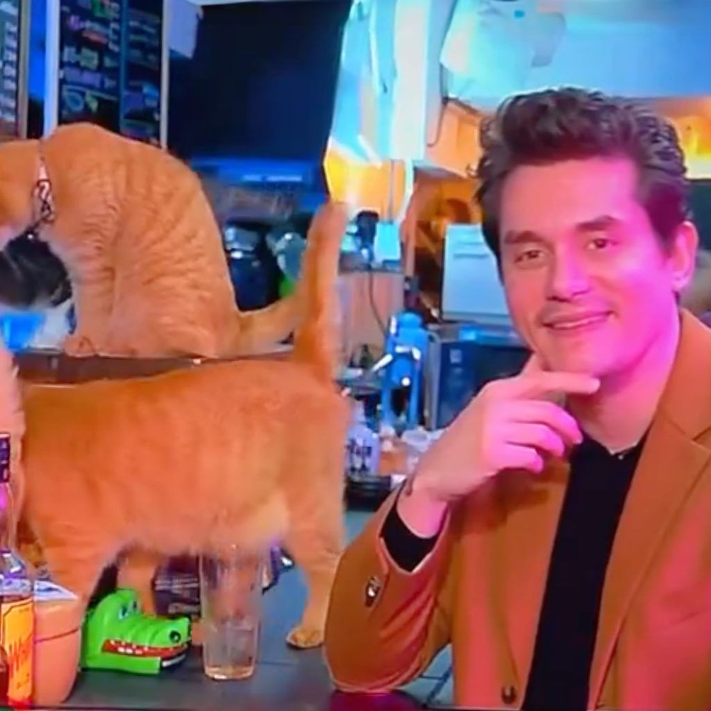 Entertainment News: Breaking Stories on Your Favorite Celebrities