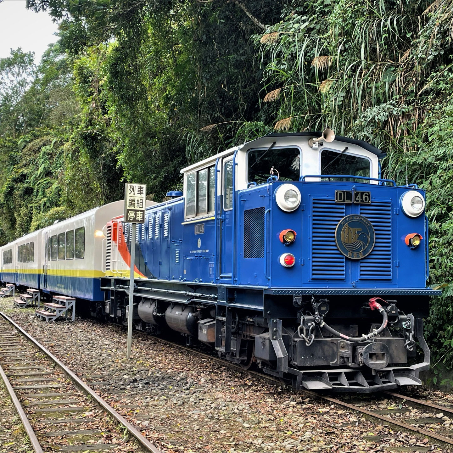 Alishan's First Eco-Train 'Vivid Express' Is Expected to Run in April