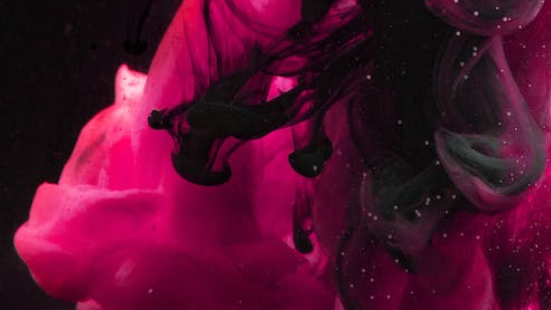 Lucky colours for Year of the Dragon 2024, based on Chinese zodiac sign