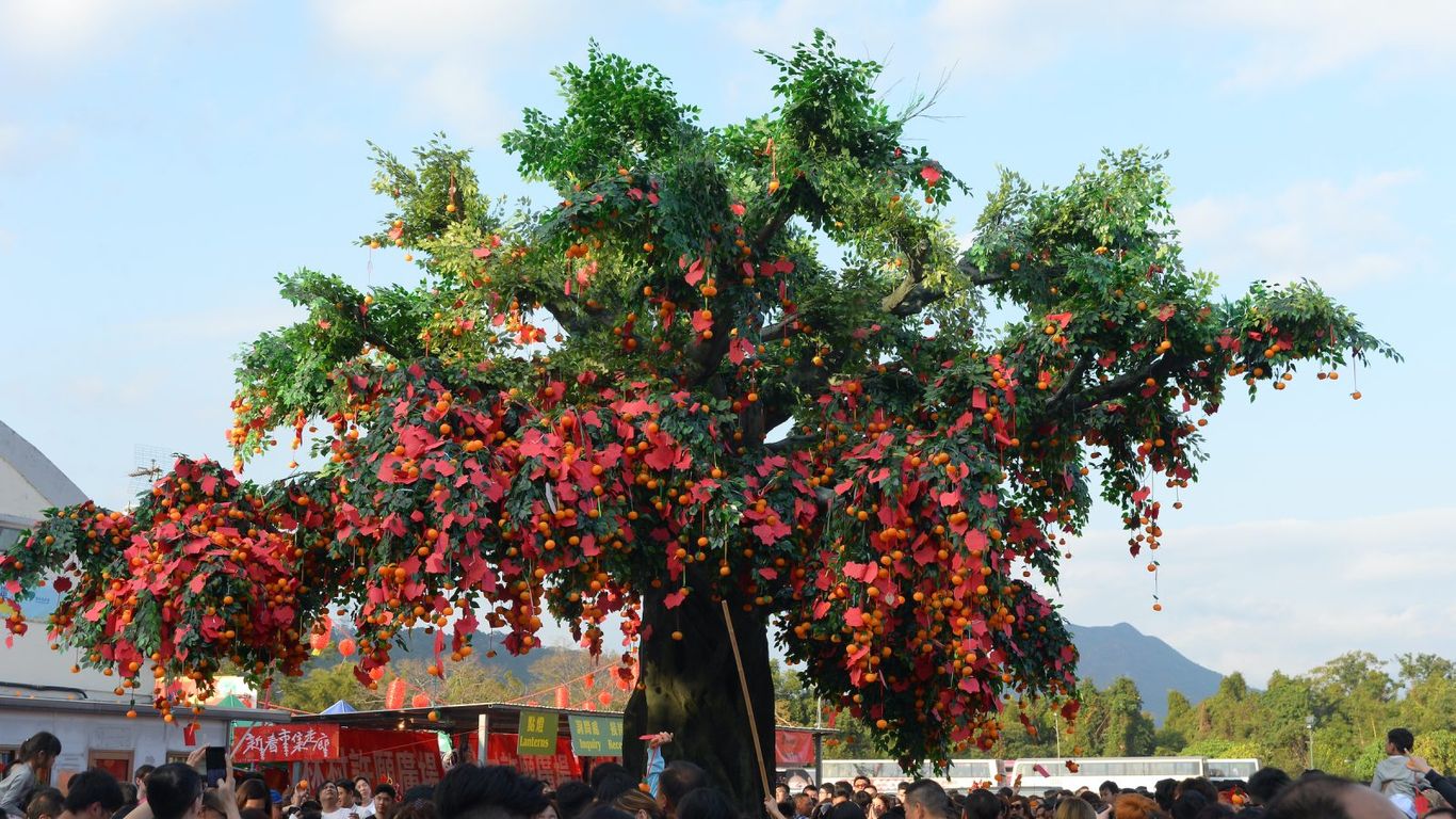 Manifest your LNY wishes at the Lam Tsuen Wishing Tree | Lifestyle Asia
