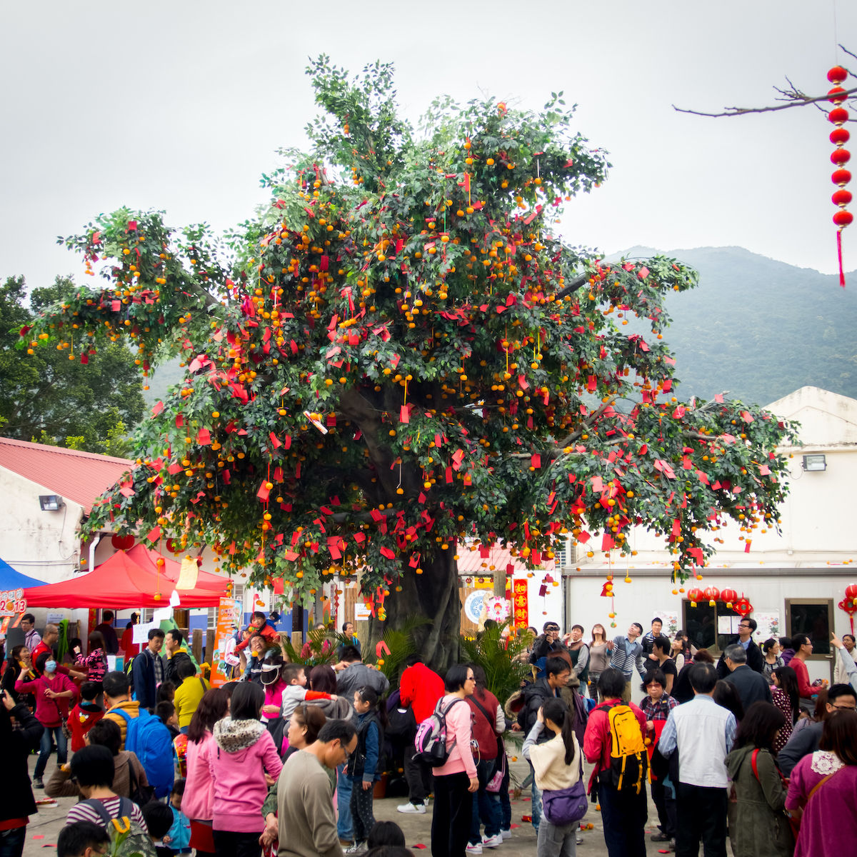 Manifest your LNY wishes at the Lam Tsuen Wishing Tree | Lifestyle Asia
